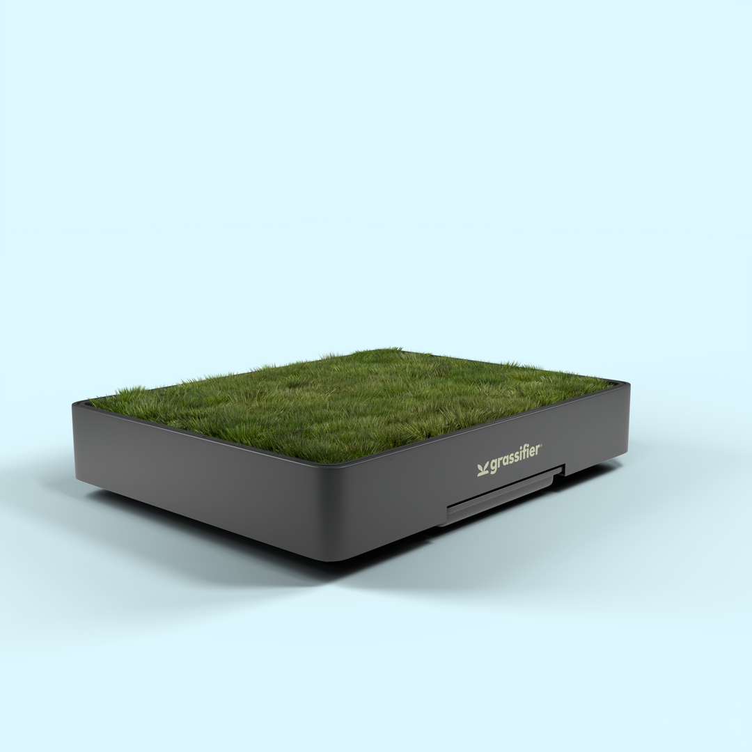 Real Grass Puppy Potty