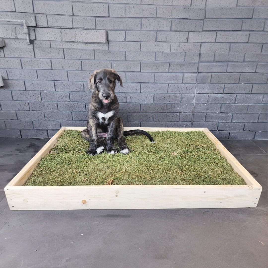 Original – Real Grass Puppy Potty