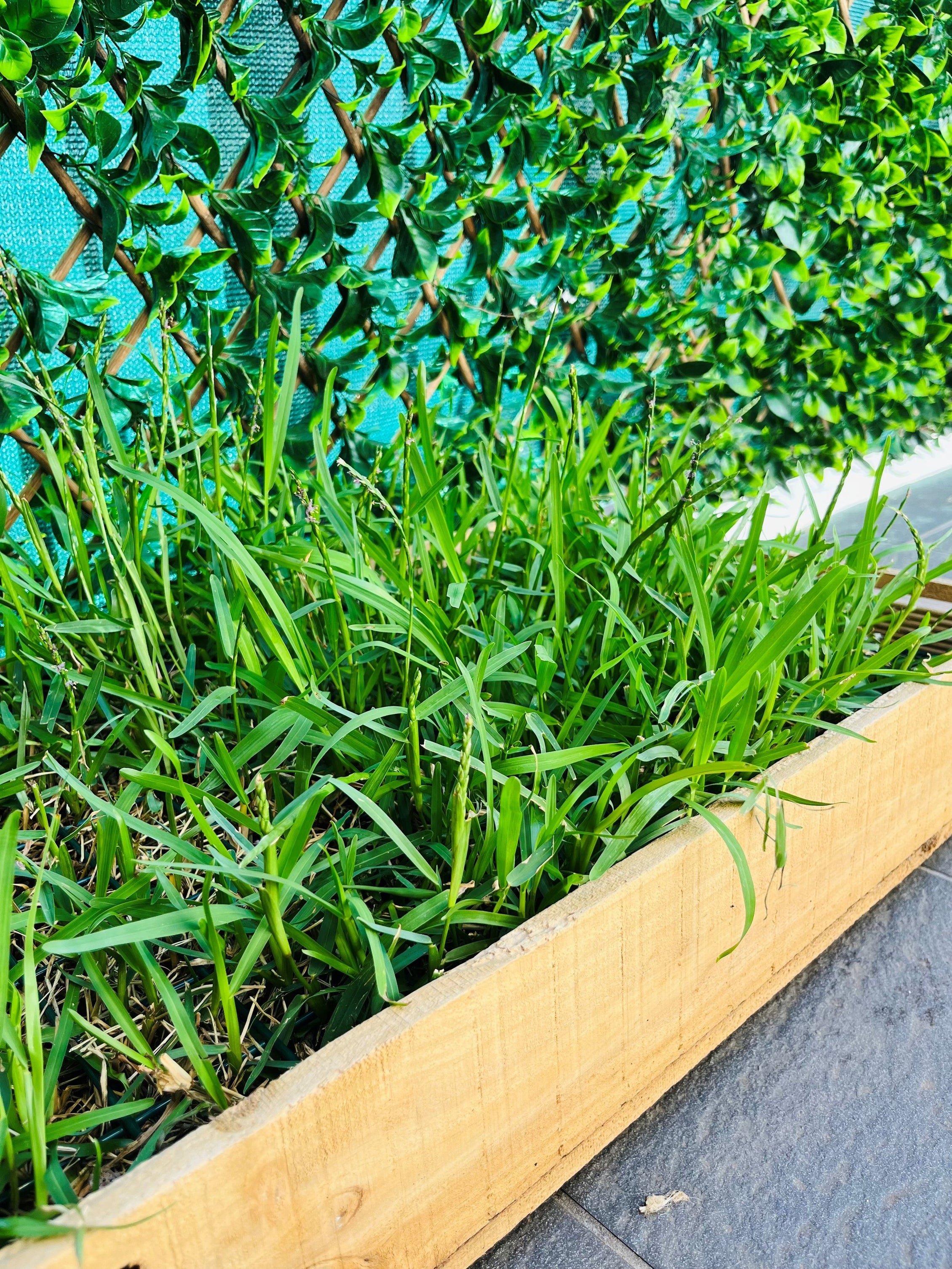 How it works – Real Grass Puppy Potty