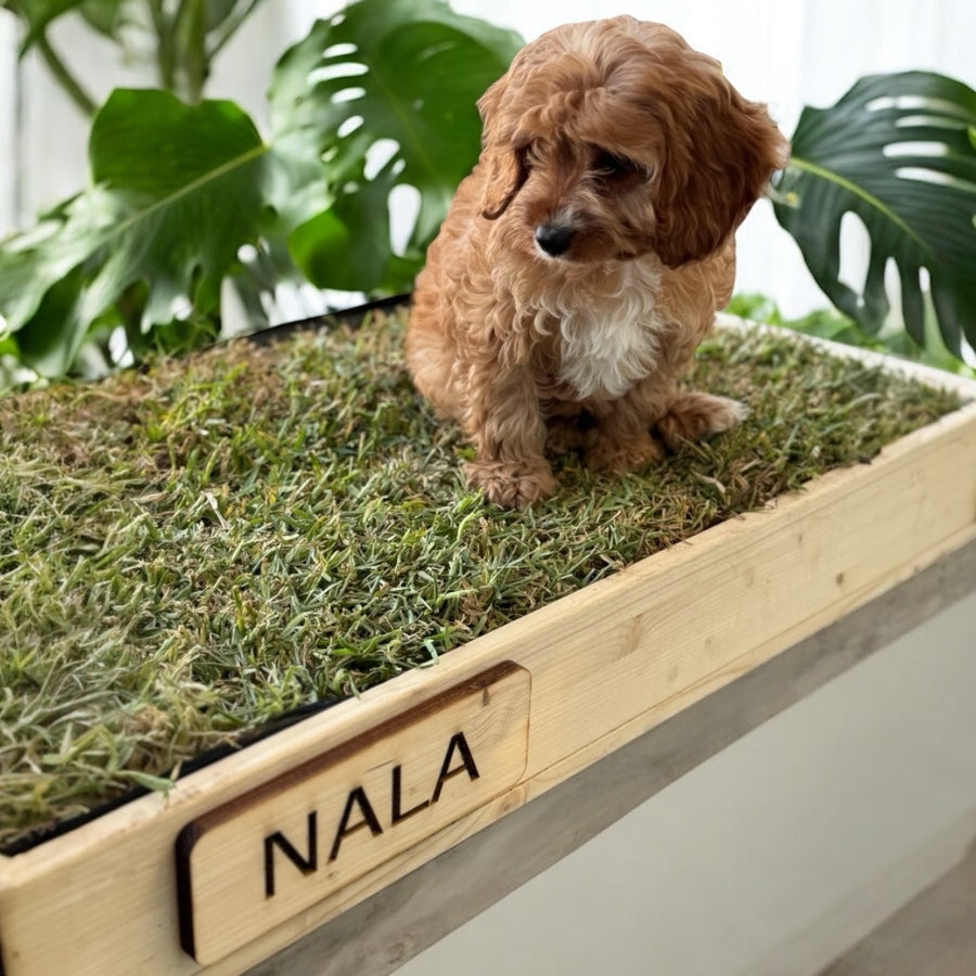 Real Grass Puppy Potty
