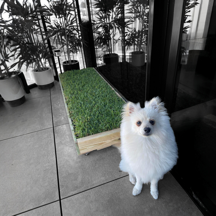 How it works – Real Grass Puppy Potty