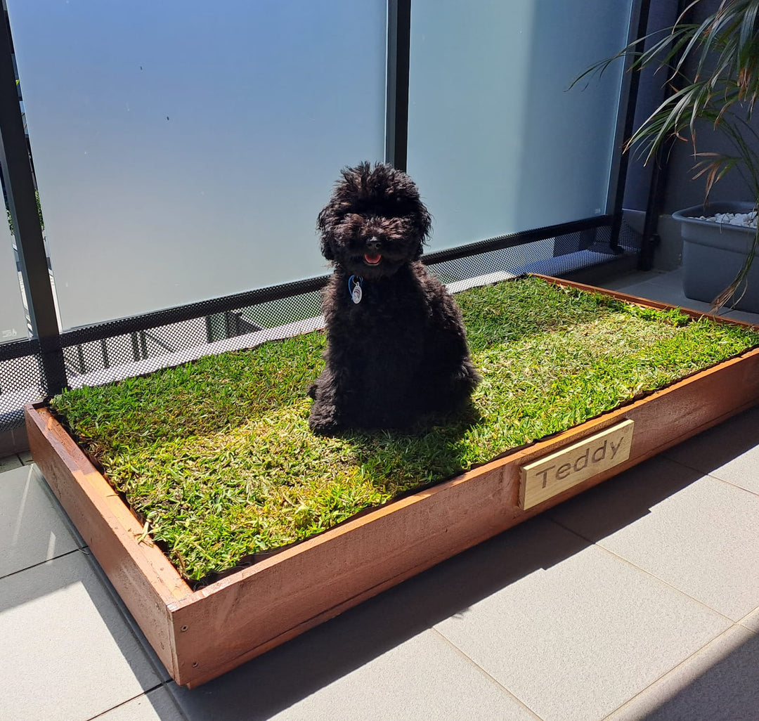 Gallery – Real Grass Puppy Potty