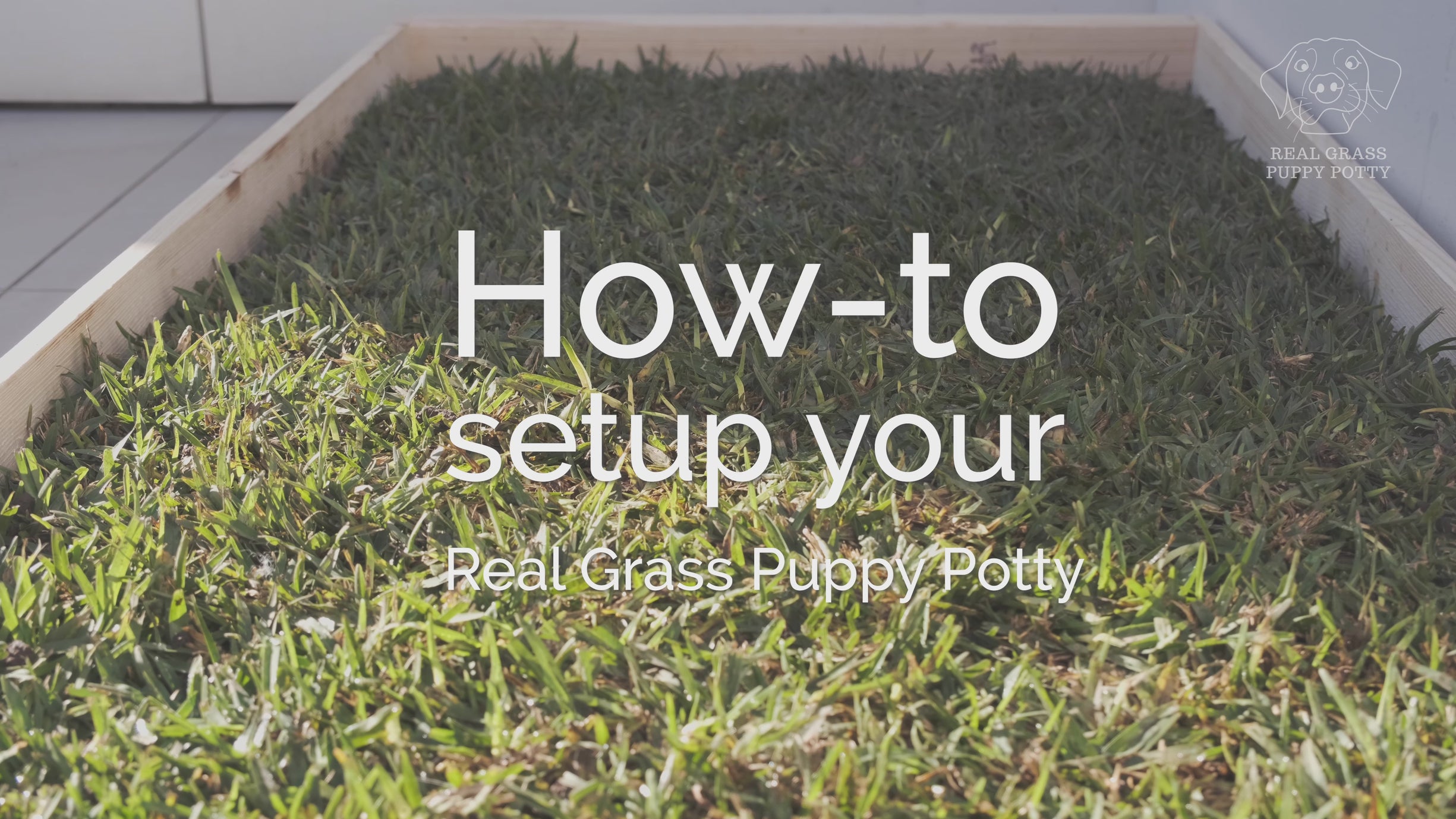 How it works – Real Grass Puppy Potty